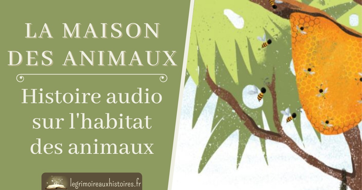 Histoire animaux Maternelle : La maison des Animaux - Dès 3 ans